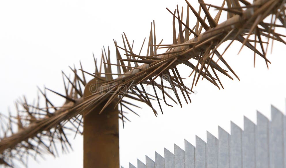 Spiked fence stock image. Image of gate, spikey, barrier - 96607793