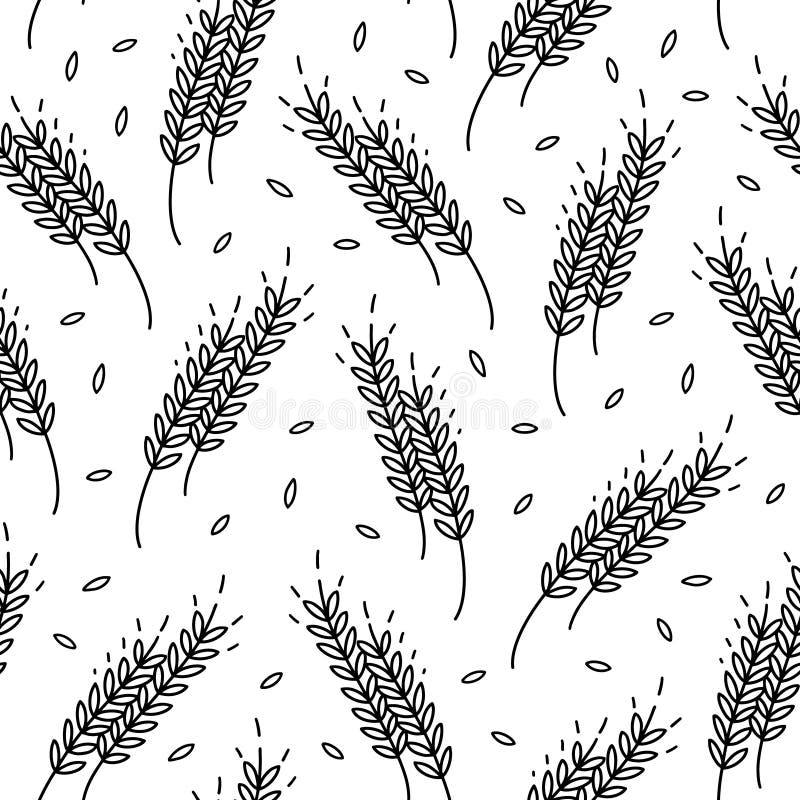 Spikelets and Grains of Wheat, Vector Seamless Pattern. Outline Drawn ...