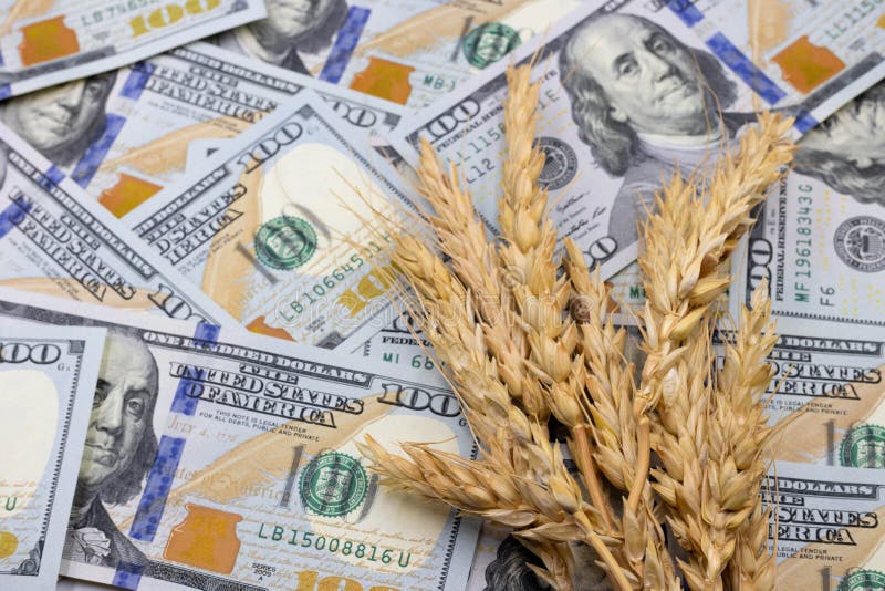 Spikelets of Wheat on the Background of Dollars Banknotes. Stock Photo ...