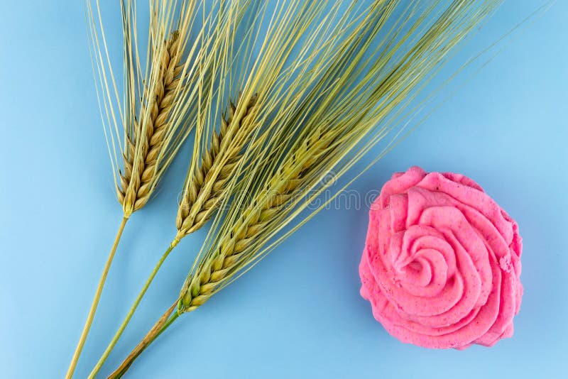 Pink Zefor Stock Photos - Free & Royalty-Free Stock Photos from Dreamstime