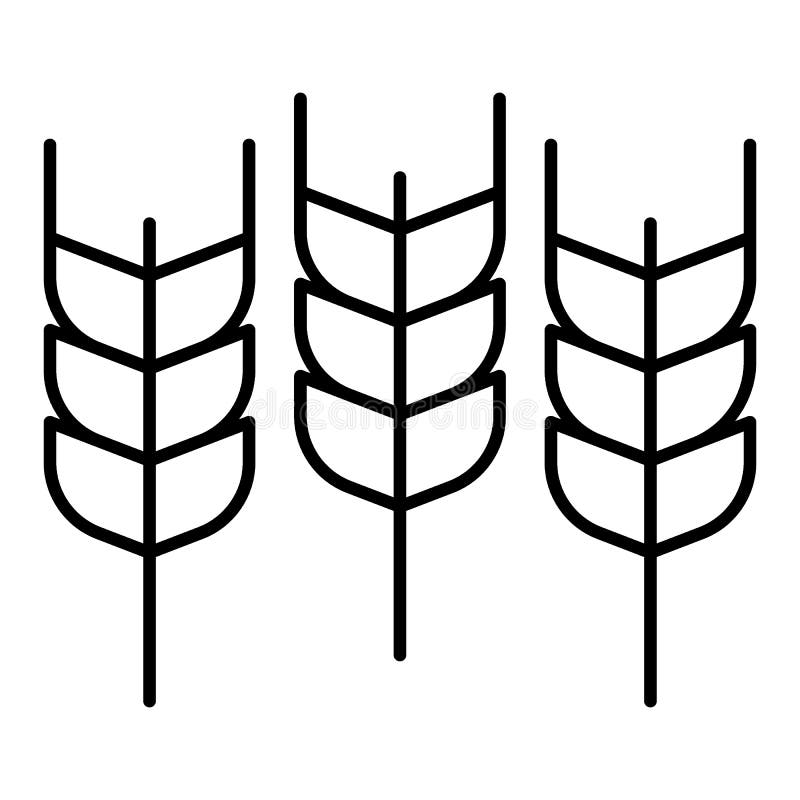 Wheat Thin Line Icon. Grain Vector Illustration Isolated on White Stock ...