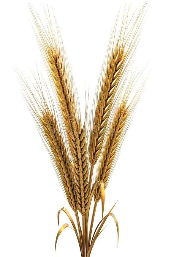 Horizontal Spikes Stock Illustrations – 839 Horizontal Spikes Stock ...