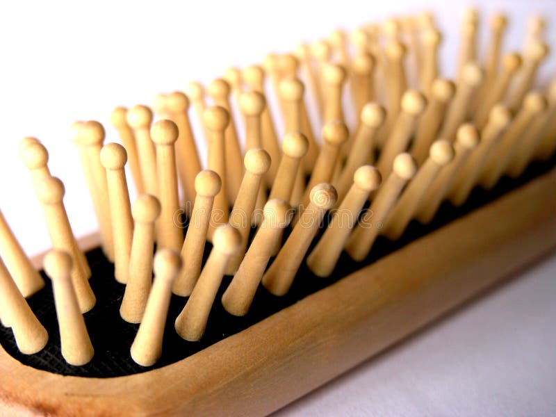 Spikes stock image. Image of wooden, brush, tool, closeup - 32079