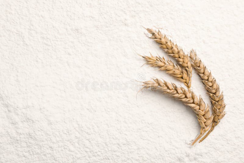 Spikes on Wheat Flour, Top View. Space for Text Stock Photo - Image of ...