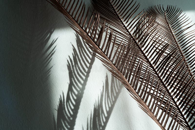 Spikes on a White Background Stock Image - Image of hall, contrast ...