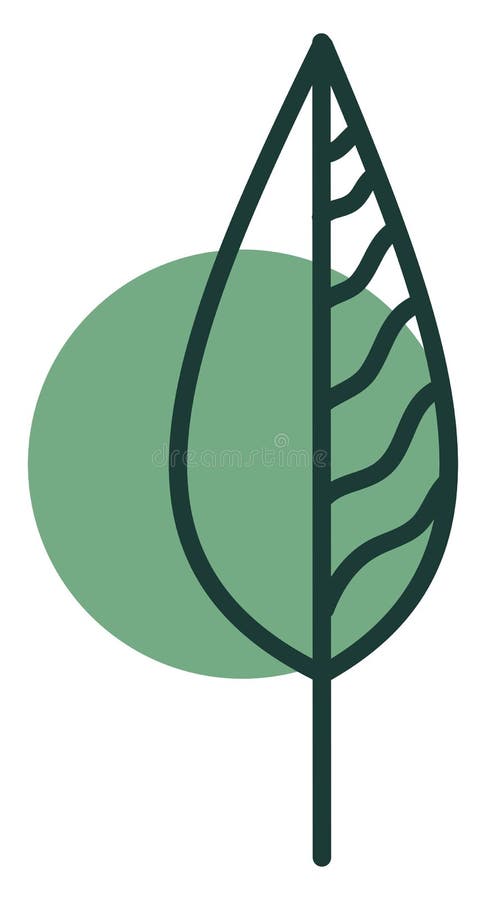 Spikey Plant Stock Illustrations – 117 Spikey Plant Stock Illustrations ...