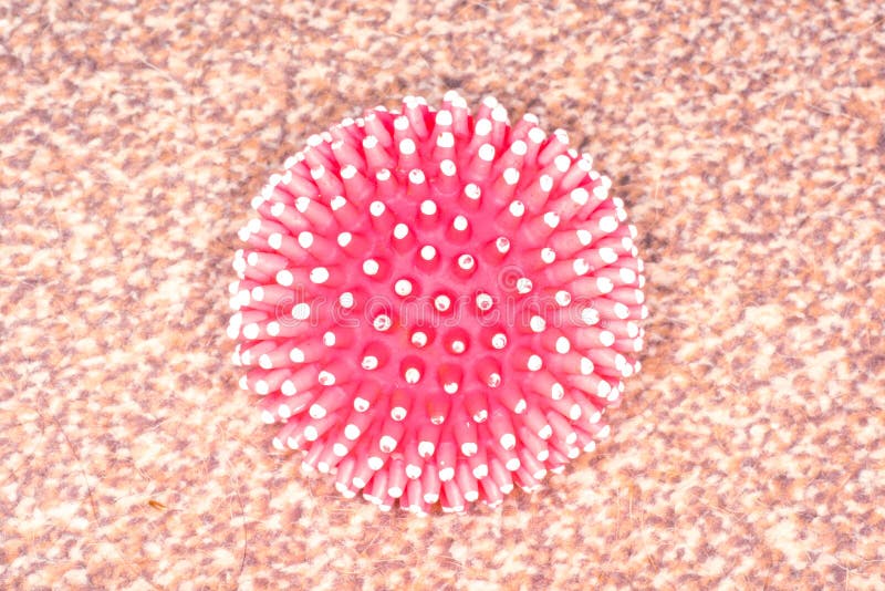 Spiky Ball Background - Pet Toys Stock Image - Image of green ...