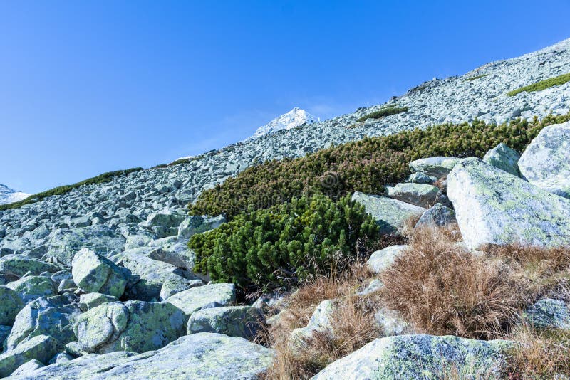 Spiky Peaks of the Mountain Range Stock Photo - Image of highlands ...