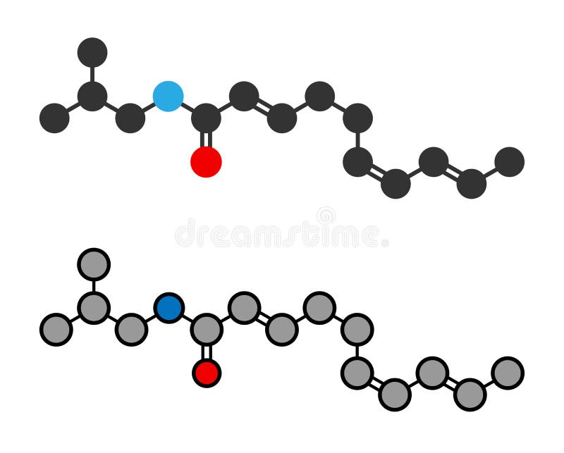 Spilanthol Molecule. Local Anesthetic Present in Acmella Oleracea ...