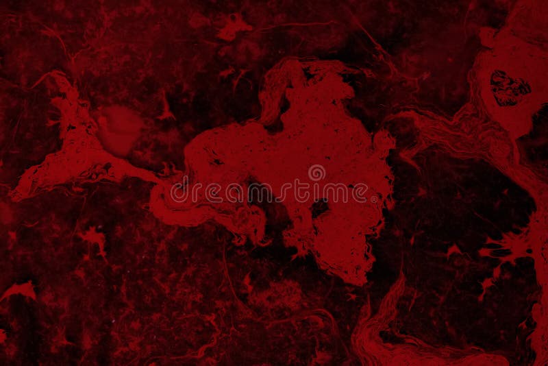 Spilled Red Paint on a Thinner Solution Forming an Abstract Pattern ...