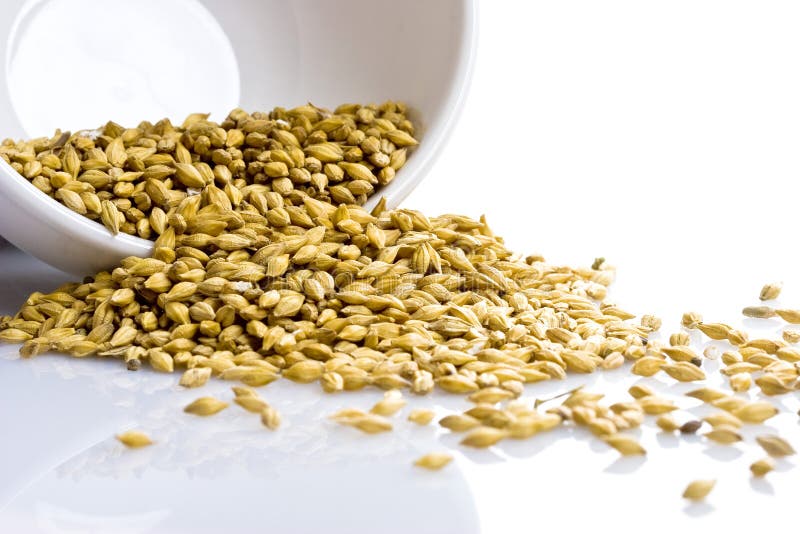 Spilled Rye Seeds on White Background Stock Photo - Image of heap ...