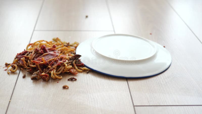 Spilled Spaghetti on the Floor Stock Footage - Video of mess, accident ...