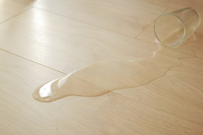 Spilled Water Drops on Wooden Laminate Floor. Stock Image - Image of ...