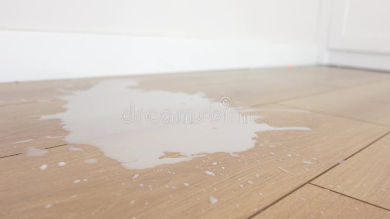 Spilled White Milk on a Wooden Floor , Stock Video - Video of mess ...