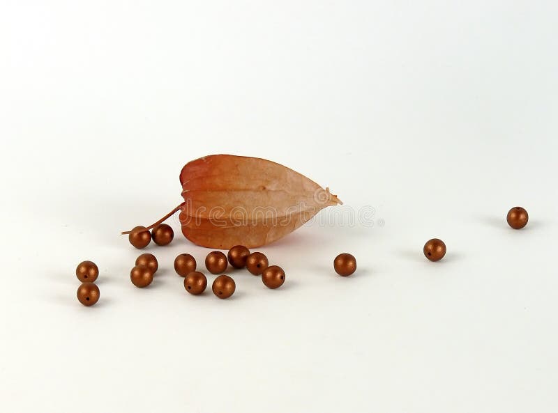 Spilling beads stock photo. Image of flower, spill, still - 3530736