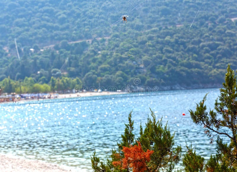 Spin Op Spinneweb En De Zomerstrand Stock Afbeelding - Image of ...