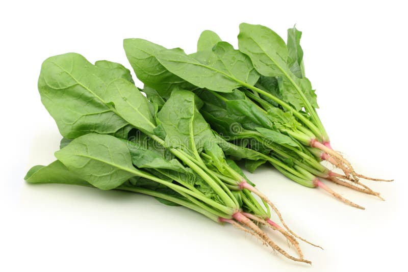 Spinach stock photo. Image of food, closeup, nutritious - 22614114