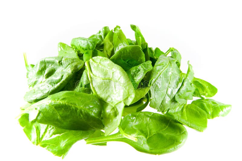 Spinach stock image. Image of isolated, health, green - 19122179