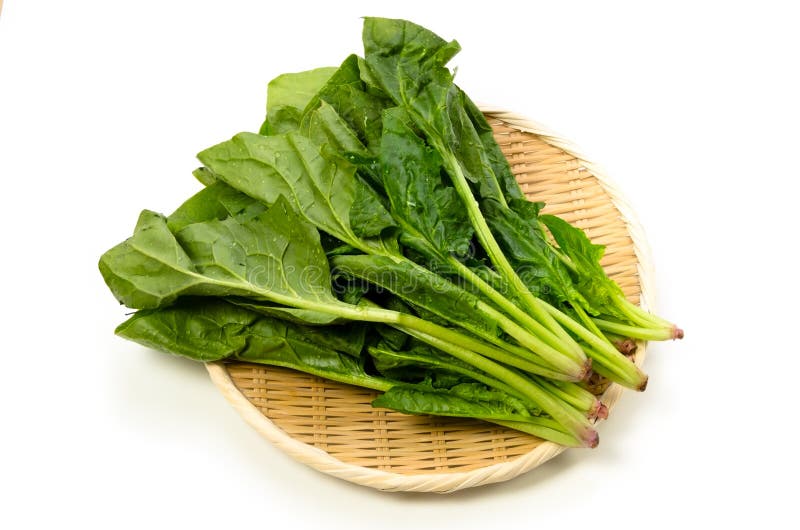 Spinach stock photo. Image of plant, organic, health - 25179578