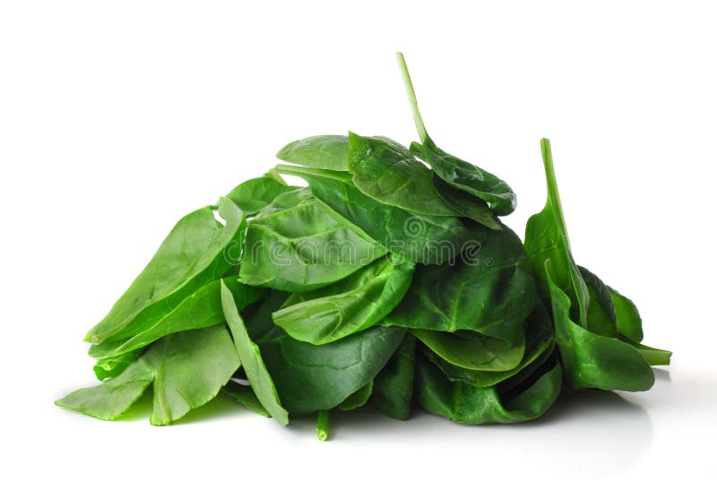 Spinach stock photo. Image of spinach, healthy, salad - 5672434