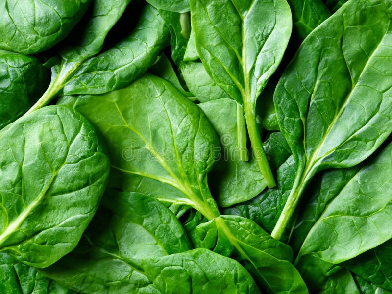 Spinach Background Full Image. Top View Stock Photo - Image of water ...