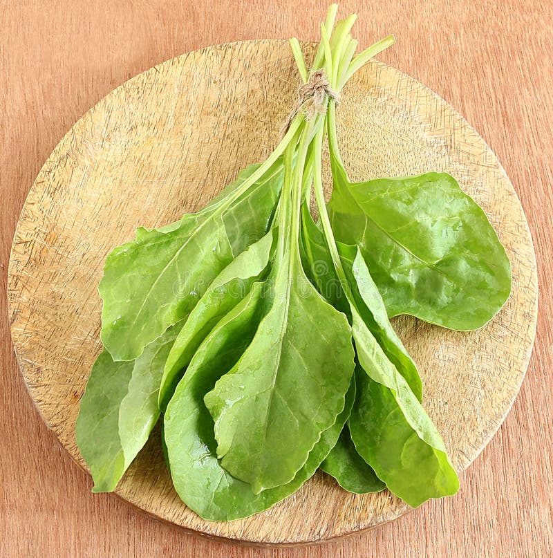 Spinach Bunch stock image. Image of water, green, prevent - 70931445