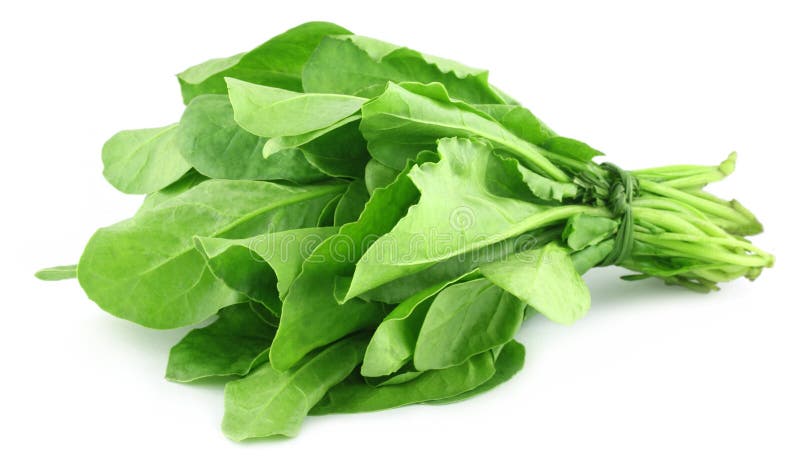 Spinach bundle stock photo. Image of leafy, eating, cooking - 35923700