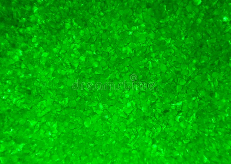 Spinach Cell Structure Pattern Stock Image - Image of closeup, shape ...