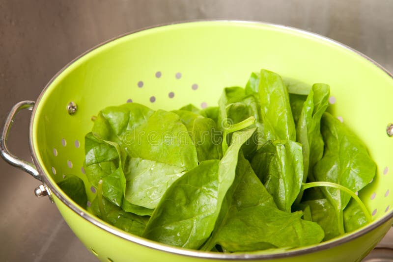 Spinach in colander stock photo. Image of dish, plant - 42952150