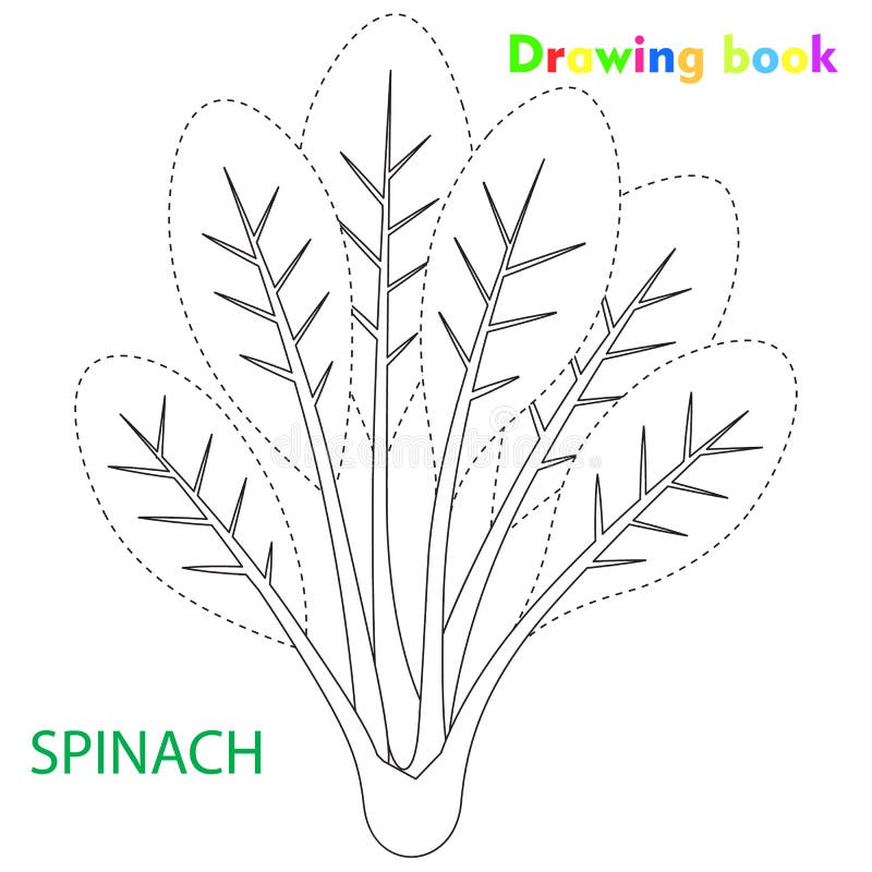 Spinach Coloring Stock Illustrations – 78 Spinach Coloring Stock ...