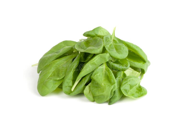 Spinach stock image. Image of isolated, plant, leaves - 33387185