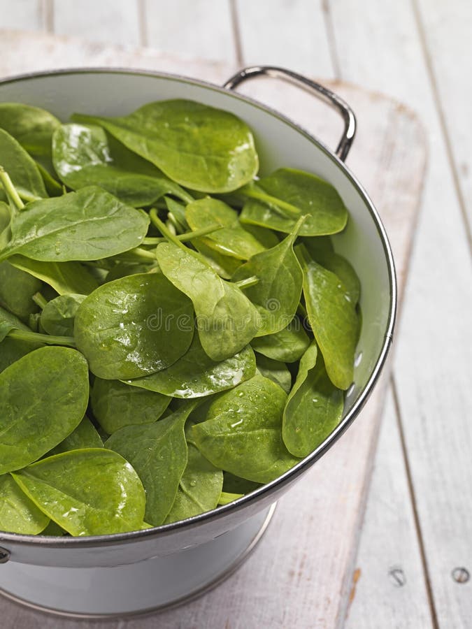 Spinach stock photo. Image of washed, food, chopping - 45091934