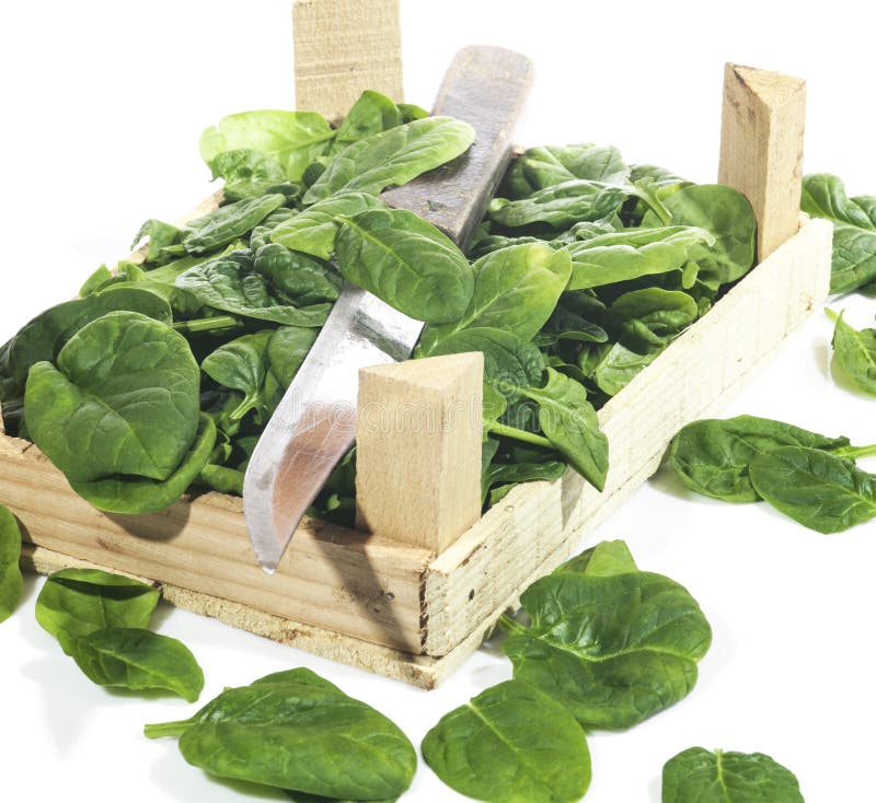 Crate with spinach stock image. Image of isolated, healthy - 9140591