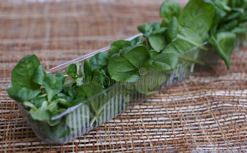 Spinach Greens are Very Fresh in a Plastic Box on the Table on the ...