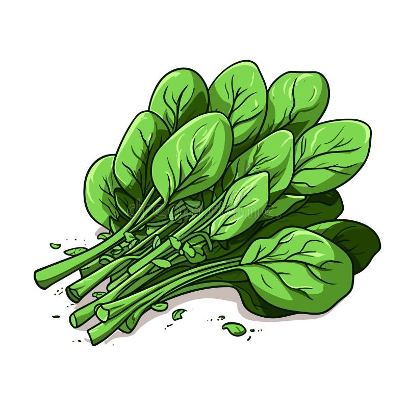 Spinach Hand-drawn Illustration. Spinach. Vector Doodle Style Cartoon ...
