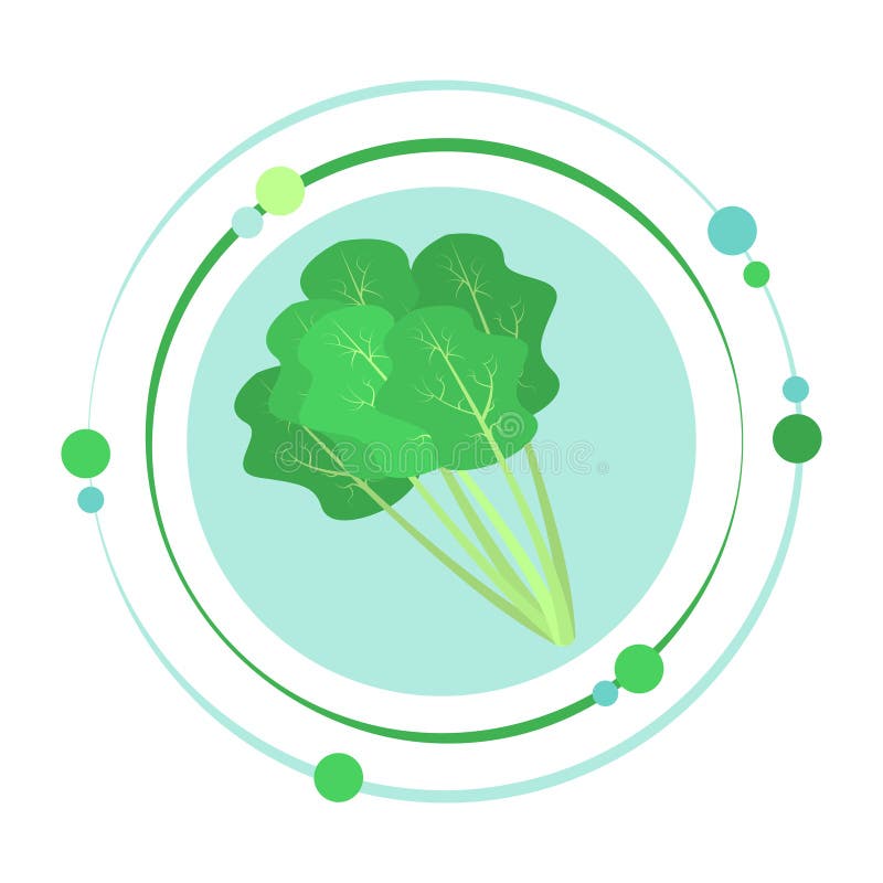 Spinach Superfood Vector Illustration Graphic Icon Logo Stock Vector ...