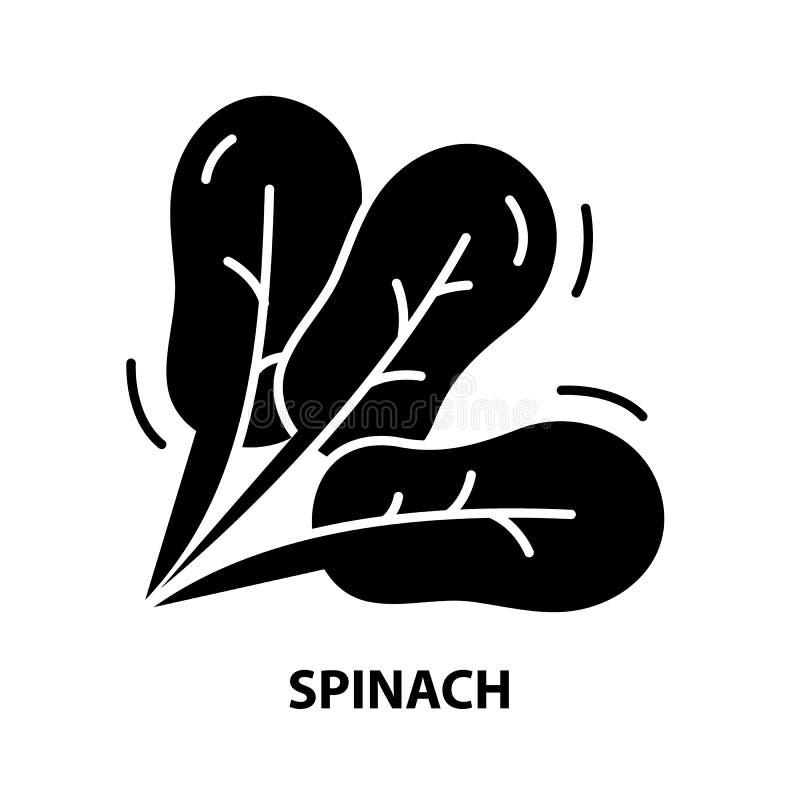 Spinach Icon, Black Vector Sign with Editable Strokes, Concept ...