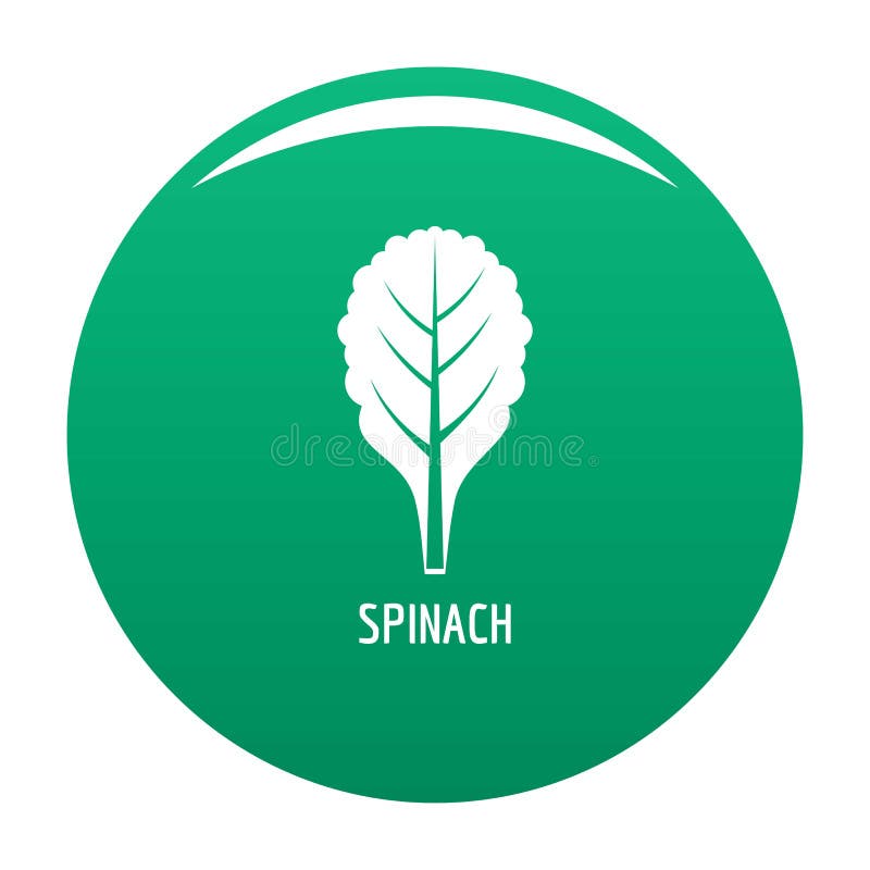 Spinach icon vector green stock vector. Illustration of icon - 135097231