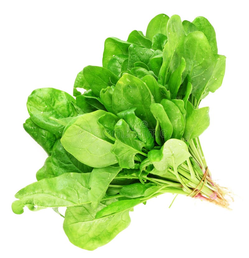 Spinach Isolated stock image. Image of heap, macro, cuisine - 29525769