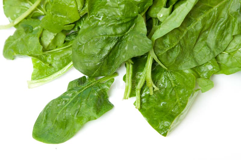 Spinach Isolated stock image. Image of heap, macro, cuisine - 29525769