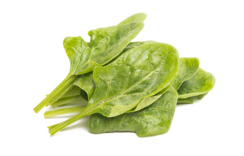 Spinach isolated stock image. Image of health, gourmet - 113664475