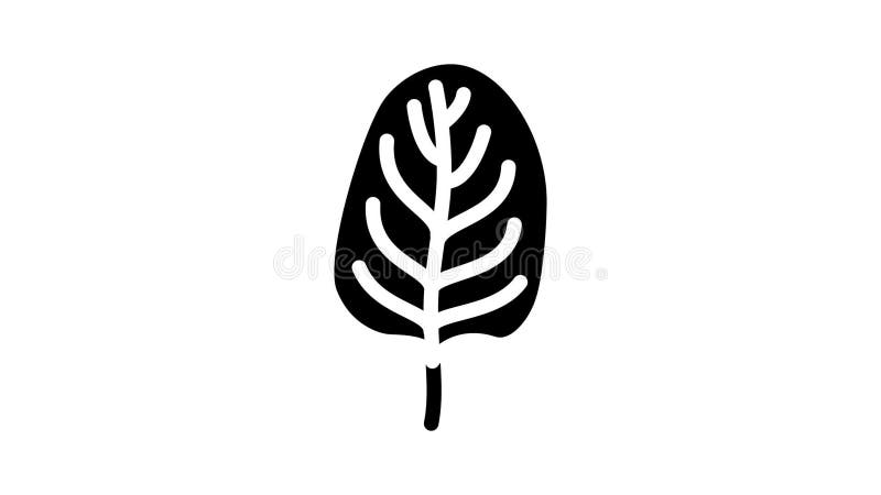 Spinach Leaf Glyph Icon Animation Stock Video - Video of leaves ...