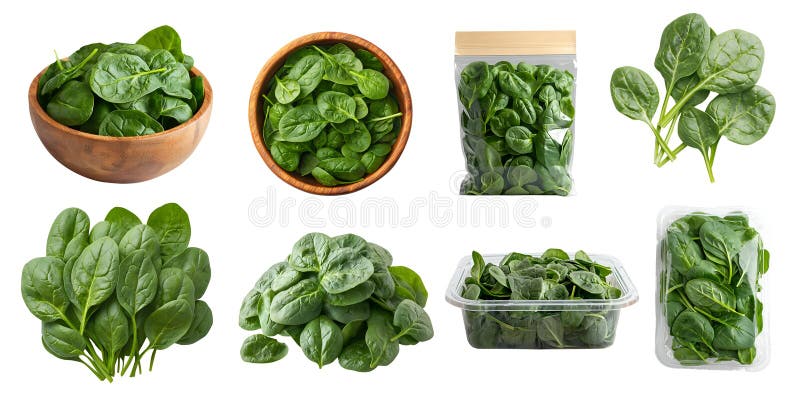 Spinach Leaf Leafy Vegetable Flowering Plant, Pile Stack, Bowl, Plastic ...
