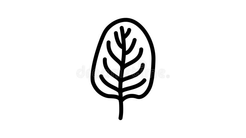 Spinach Leaf Line Icon Animation Stock Footage - Video of spinach, wood ...