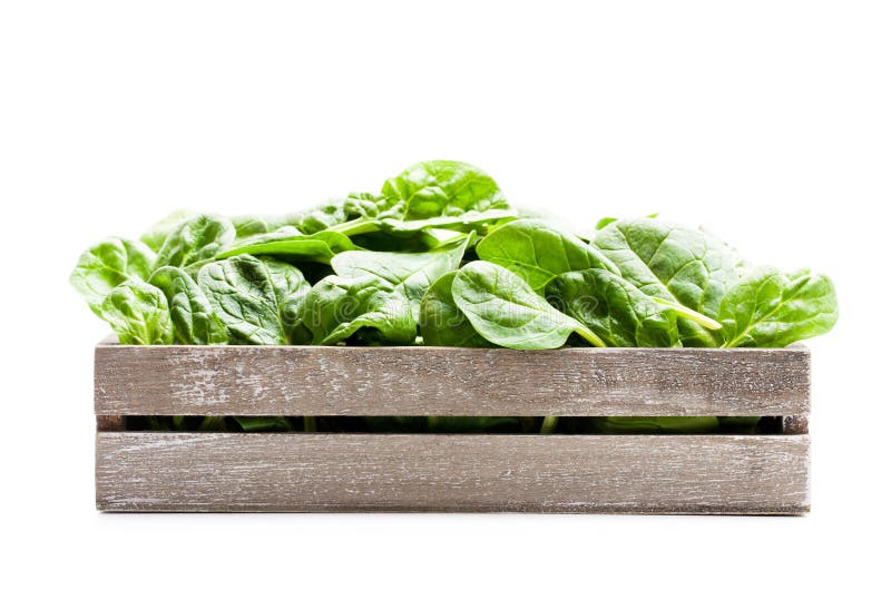 Spinach Leafs in Wooden Box Isolated on White Background Stock Image ...