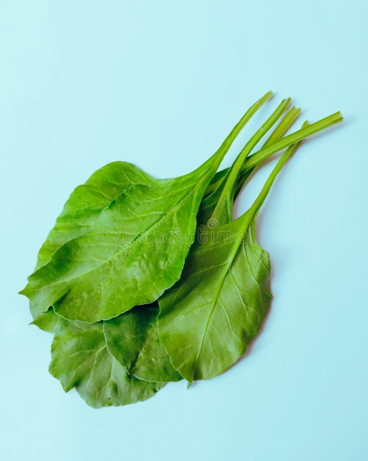 Spinach Leafy Green Vegetable Food Agriculture Crop Palak Spinacia
