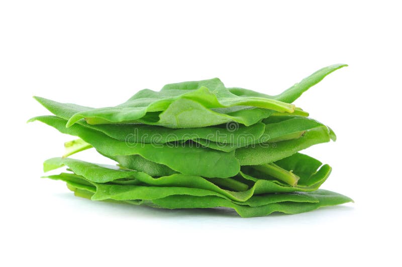 Spinach leaves stock image. Image of autumn, salad, macro - 9301589
