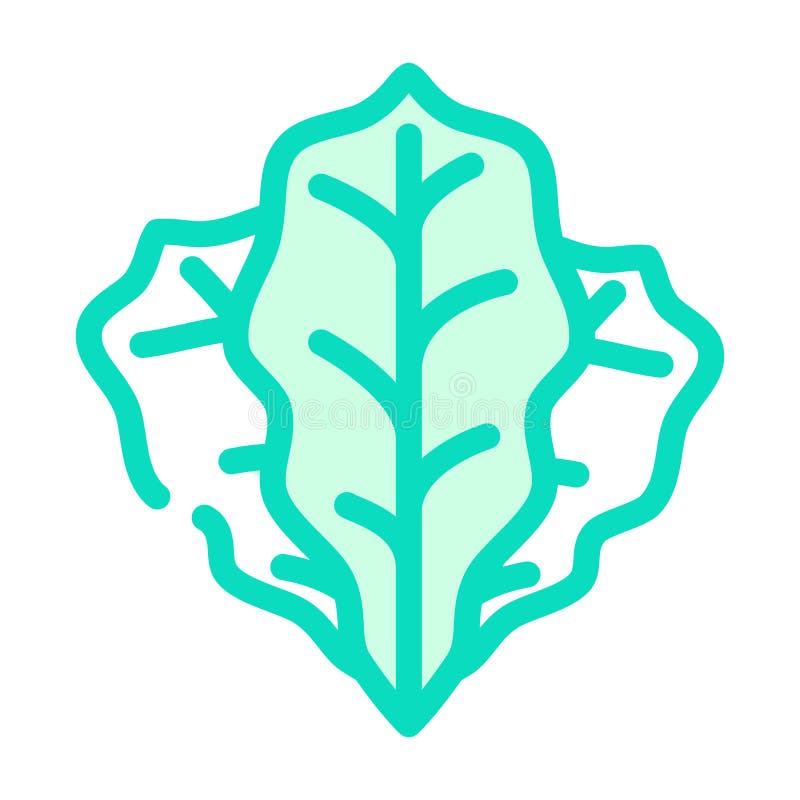 Spinach Leaves Color Icon Vector Illustration Stock Vector ...
