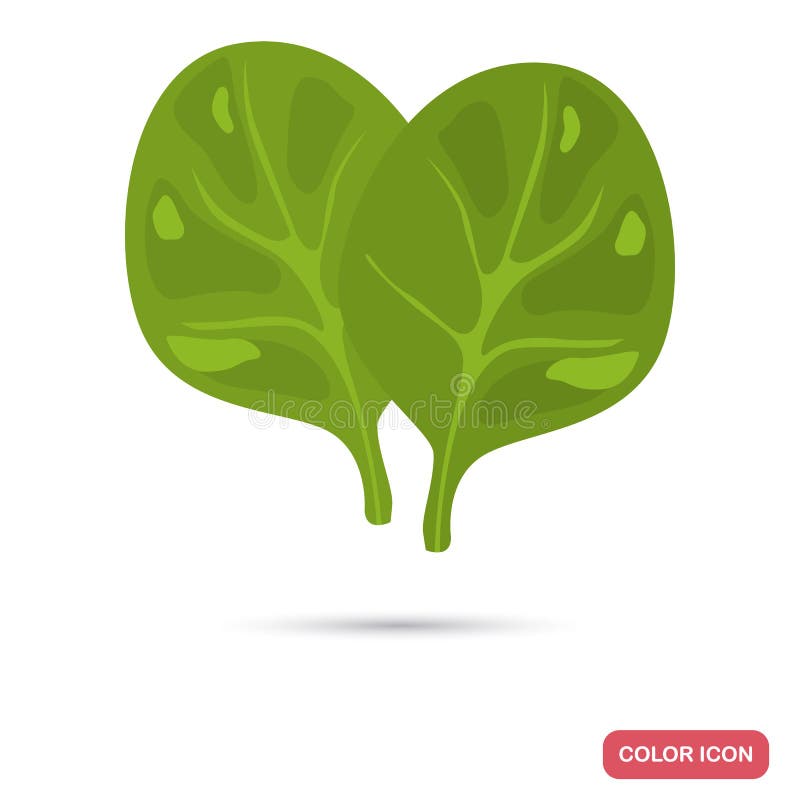 Spinach Leaves Color Icon for Web and Mobile Design Stock Vector ...