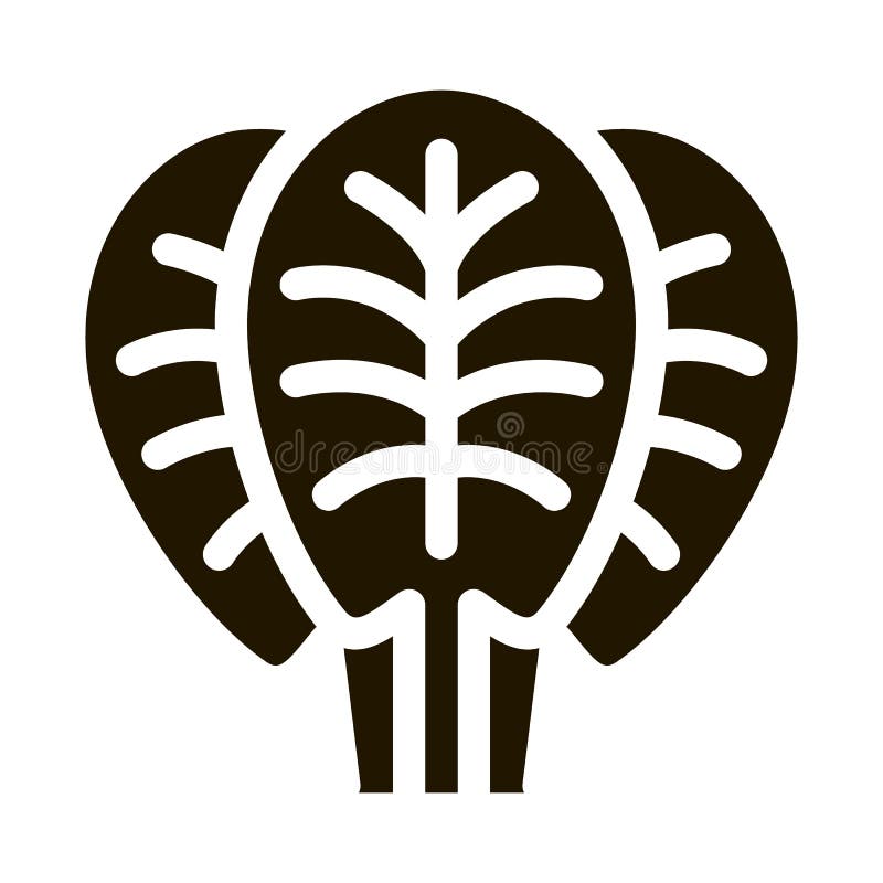 Spinach Leaves Icon Vector Glyph Illustration Stock Vector ...